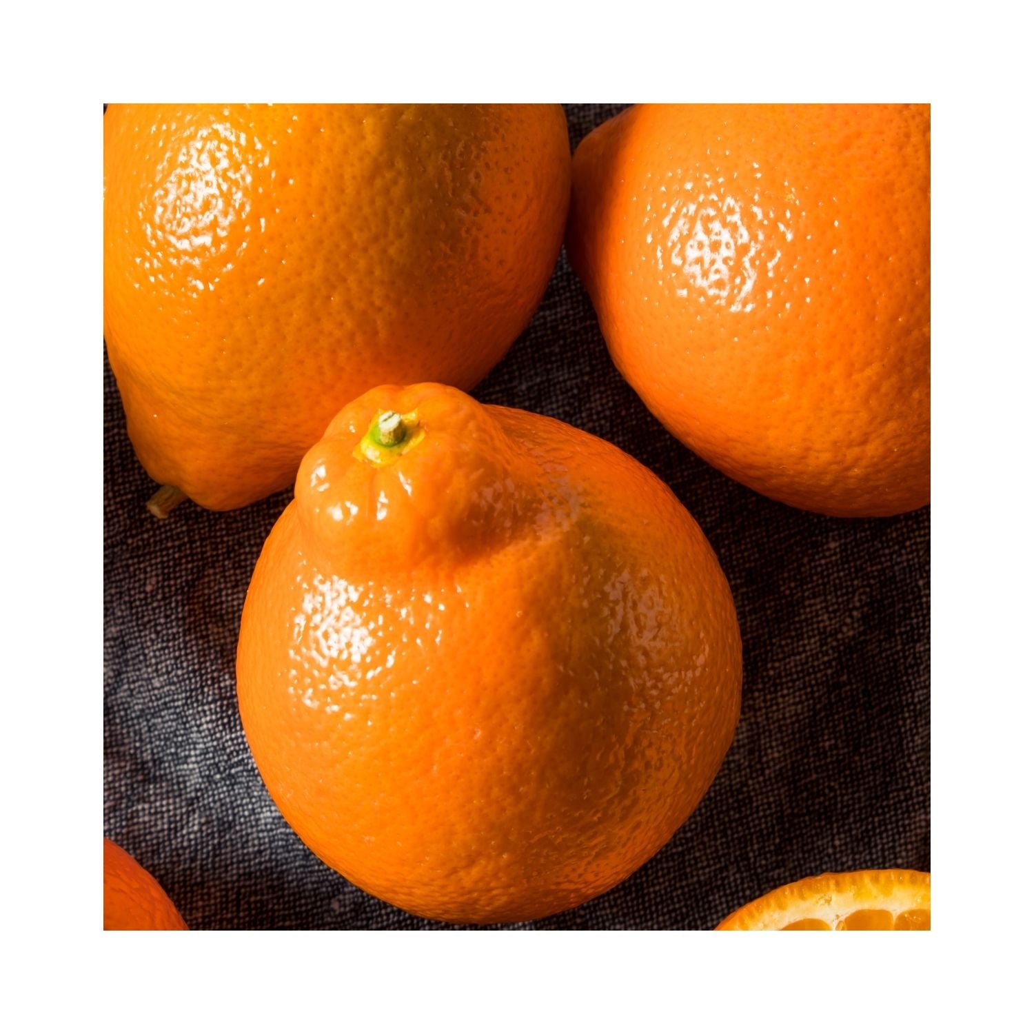 MINEOLA TANGERINE