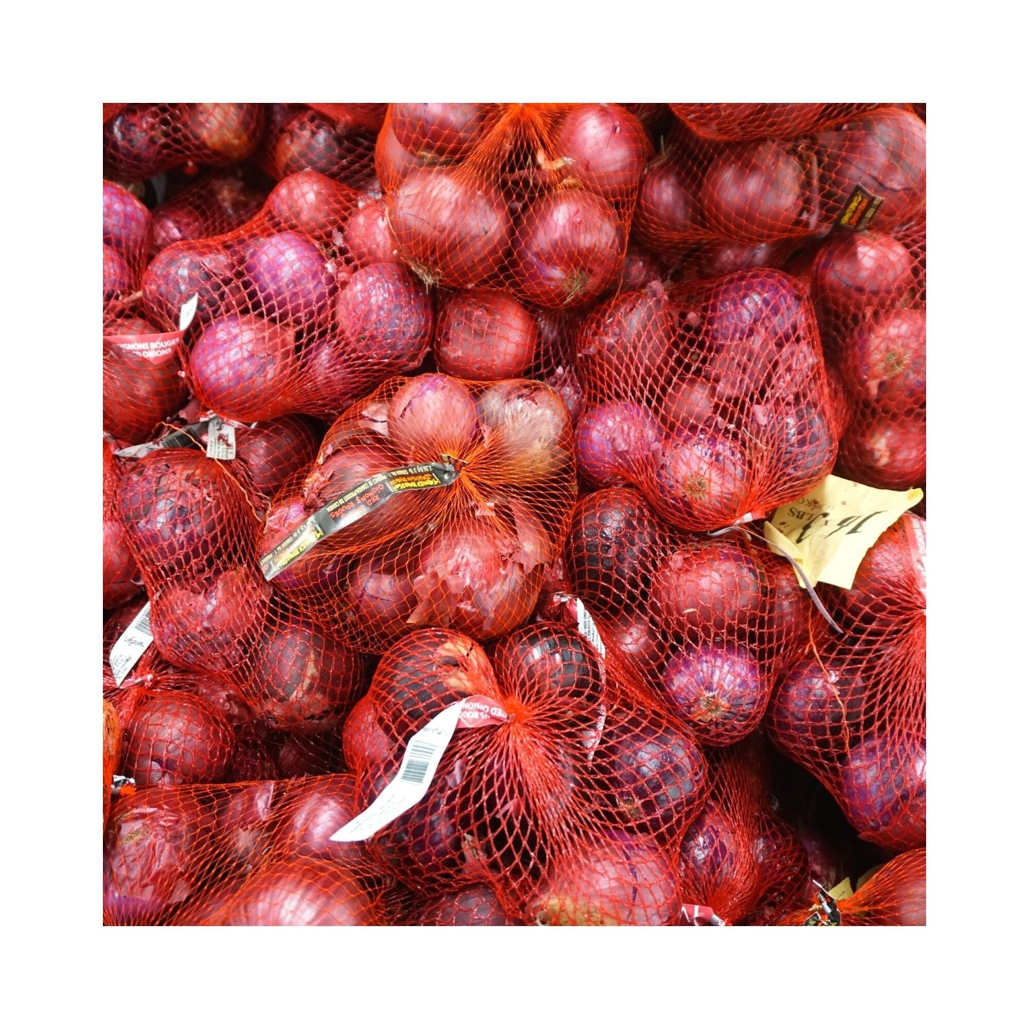 RED ONIONS