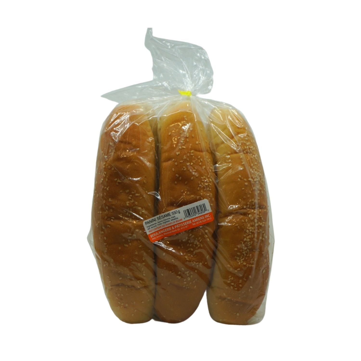 SESAME PANINI